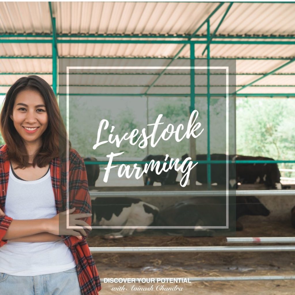 Village Business Ideas | Small Business Ideas for Rural Areas in India