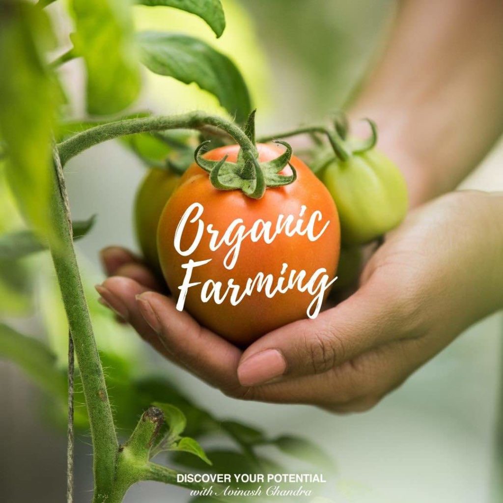 Village Business Ideas | Small Business Ideas for Rural Areas in India